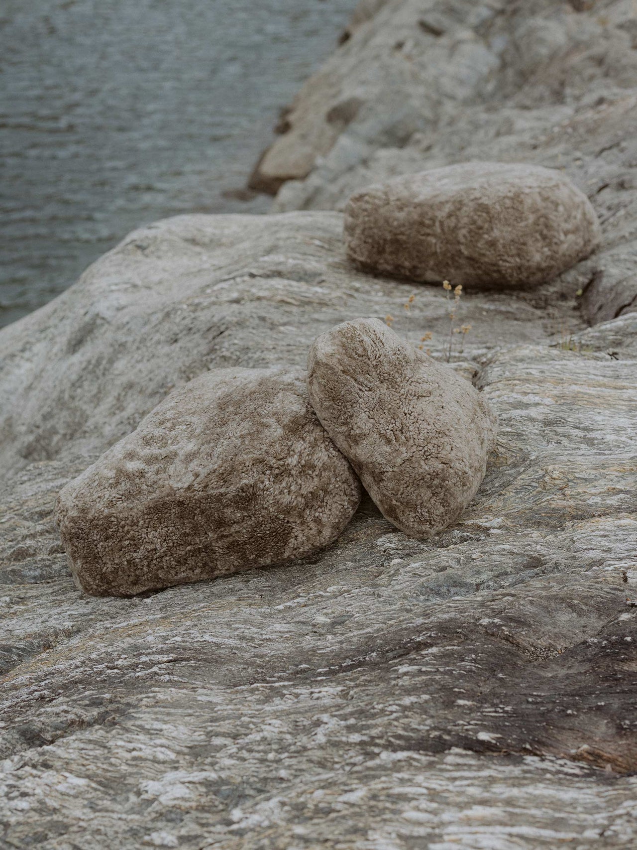 Stone Sets – Wilson & Dorset