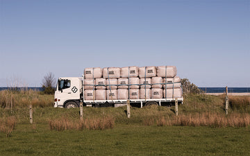 Luxury Sheepskin – Wilson & Dorset